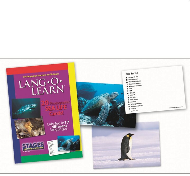 Stages Learning Materials Lang-o-Learn Esl Sea Life Vocabulary Cards Flashcards - ShopStyle ...