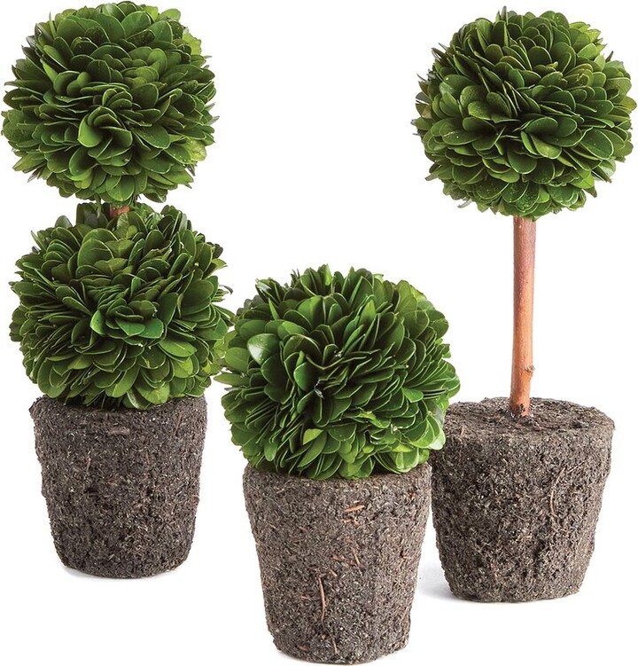 Napa Home & Garden Boxwood Mini Topiary Drop-Ins - ShopStyle Decor