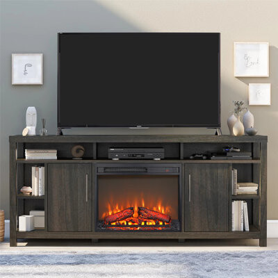 Charlton Home Electric Fireplace Insert, Ultra Thin Heater With Log Set ...
