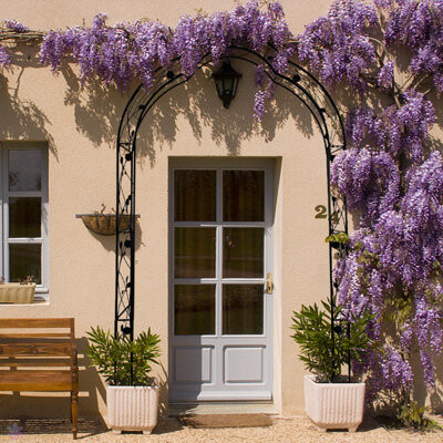 Lark Manor Metal Garden Arch Assemble Freely With 8 Styles Garden Arbor Trellis Climbing Plants ...