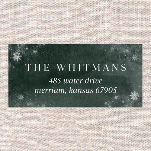 Shutterfly Address Labels: Stunning Snowfall, Set of 24, Green, Matte ...