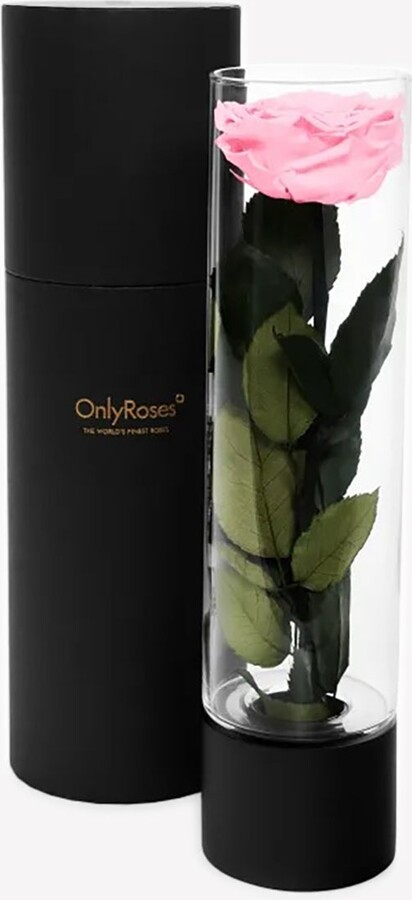 OnlyRoses Large Infinite Rose Ebony - ShopStyle Decor