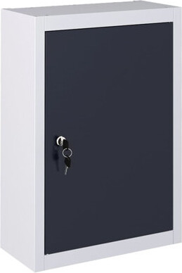 WFX Utility Wall Mounted Tool Cabinet Tool Organizer with Shelves Tool ...