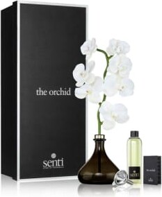 Senti 250ml Amber and Oud Orchid Diffuser - ShopStyle Home Fragrance