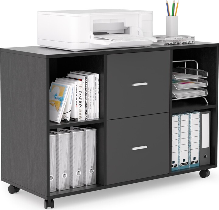 Starx Decor 2 Drawer Wooden horizontal filing cabinet with 4 open ...