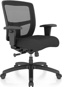 Friant Zone Ergonomic Task Chair with Elastomeric Mesh, Adjustable Arms ...
