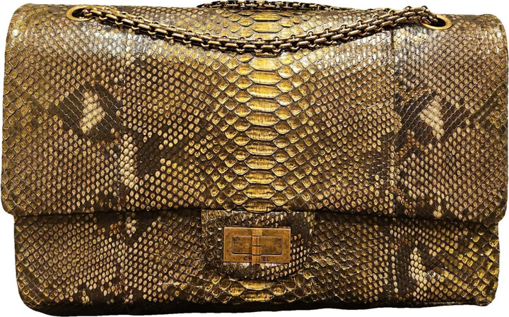 Chanel 2.55 Python Crossbody Bag - ShopStyle