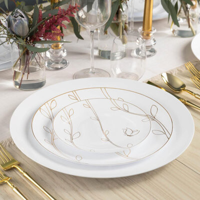 EcoQuality Disposable Plastic Party Supplies Kit for 100 Guests ...