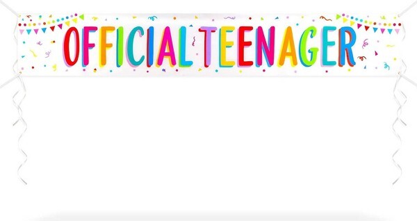 Blue Panda "Official Teenager" Large Indoor Outdoor Banner for 13th ...