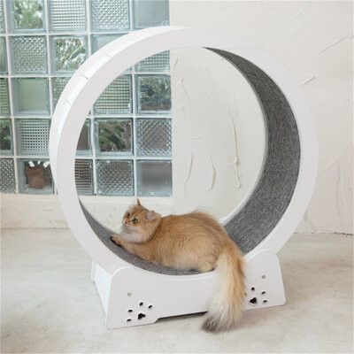 Happy & Polly 40.6'' H Large Quiet Cat Wheels for Indoor Cats, Cat ...