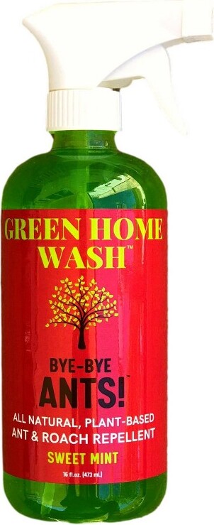 GREEN HOME WASH Bye-Bye Ants Natural Ant & Roach Repellent - 16oz ...