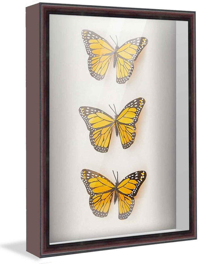 CustomPictureFrames.com 21x12 Shadow Box Frame Brown | 2.5 inches Deep ...