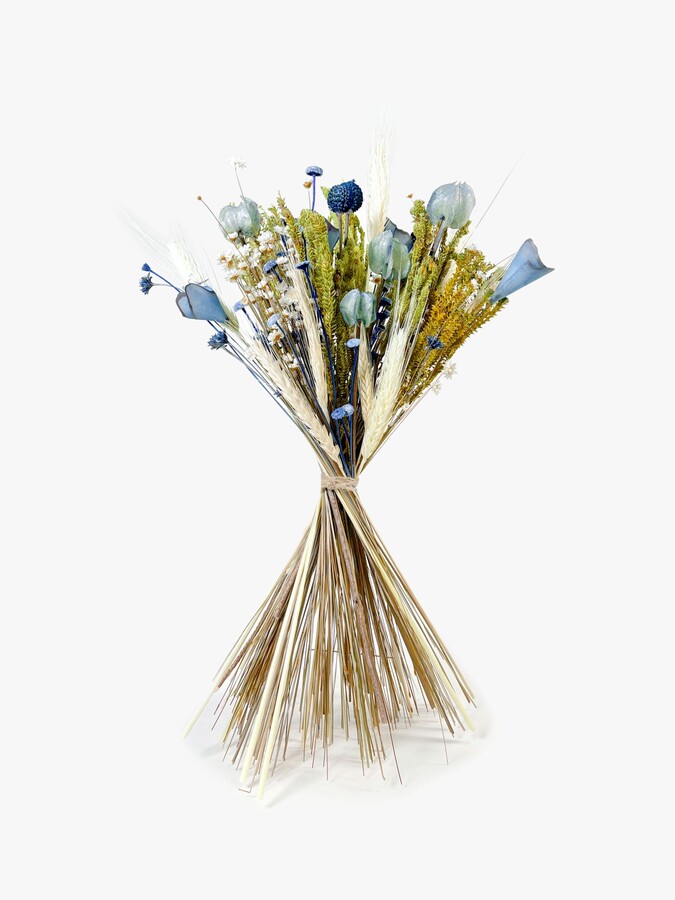 Ixia Flowers Meadow Blue Dried Flowers - ShopStyle Decor