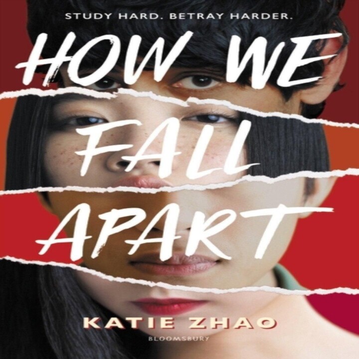 Katie Zhao How We Fall Apart Book - ShopStyle