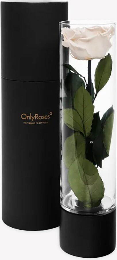 OnlyRoses Large Infinite Rose Ebony - ShopStyle Decor