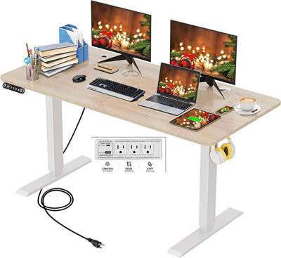 Latitude Run 48" Electric Height Adjustable Standing Desk With 2 Usb ...