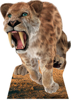 Advanced Graphics Saber Tooth Tiger Cardboard Standup - ShopStyle ...