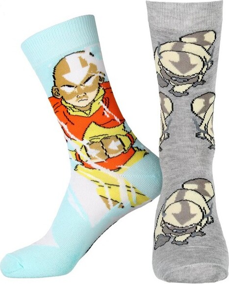 Avatar: The Last Airbender Avatar The Last Airbender Aang and Appa ...