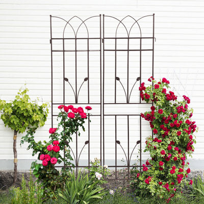 Lark Manor 4 Pack Metal Garden Trellis 71" Rustproof Trellis ...