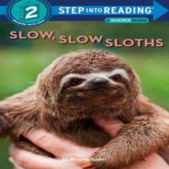 Bonnie Bader Slow, Slow Sloths Book - ShopStyle