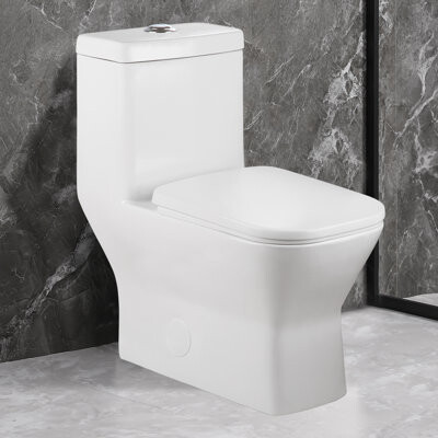 Sounor Dual Flush Rectangular Floor Mounted One Piece Toilet For Modern ...