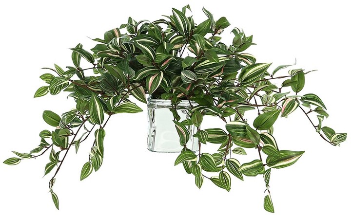 Creative Displays Ivy Arrangement In A Square Glass Pot - ShopStyle Decor