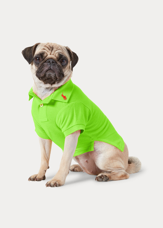 Ralph Lauren Cotton Mesh Dog Polo Shirt - ShopStyle Tops