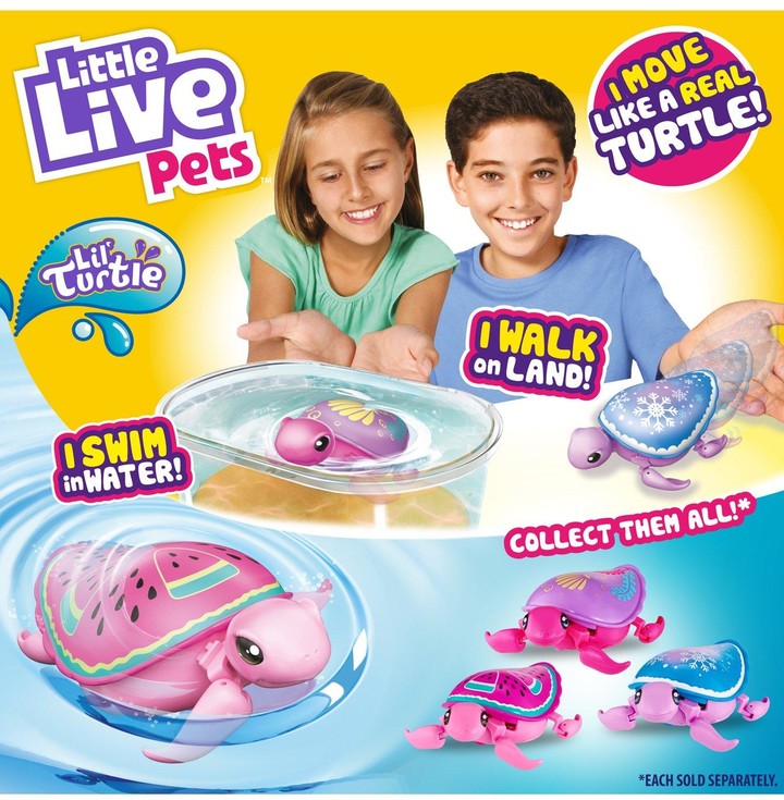 Little Live Pets Turtle- Styles May Vary - ShopStyle Toys