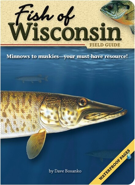 Adventure Publications Fish of Wisconsin Field Guide - (Fish ...