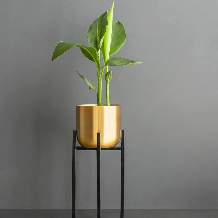Mytri Designs Golden Planter With Iron Stand - Anthari - ShopStyle ...