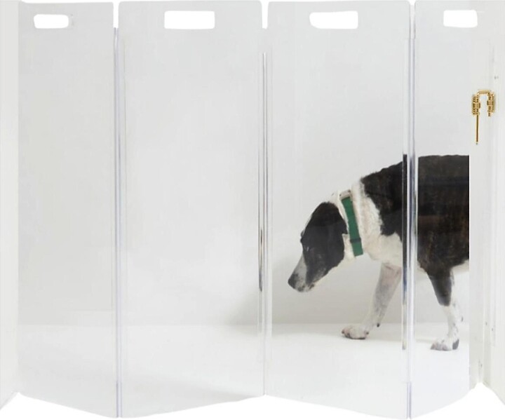Hiddin Wall Mounted Clear Pet Gate Zig Zag, 4 Panel - ShopStyle