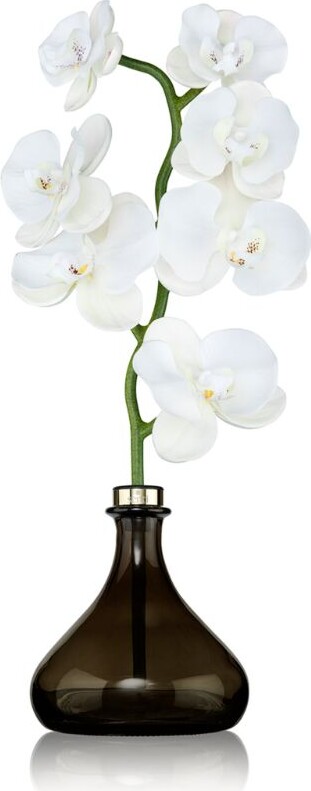 Senti Orchid Amber And Oud Diffuser (250Ml) - ShopStyle Decor