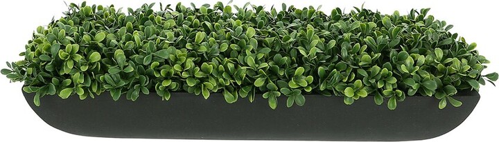 Creative Displays Boxwood Arrangement In Black Fiberstone Planter ...