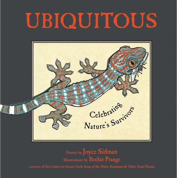 Clarion Books Ubiquitous - by Joyce Sidman (Hardcover) - ShopStyle Clocks
