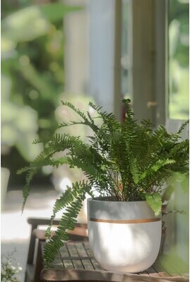 Priene HOME Pot Planter - ShopStyle Garden Decor