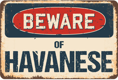 SignMission Beware of Havanese Sign - ShopStyle