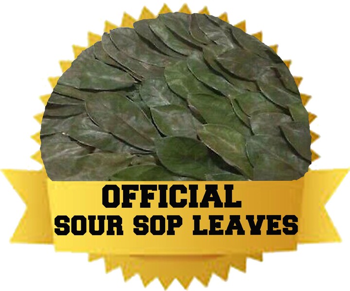 Etsy Soursop Leaves Capsules - ShopStyle Cookbooks