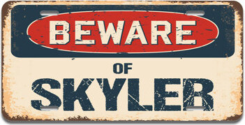 SignMission Beware of Skyler Aluminum Plate Frame - ShopStyle Lighting ...