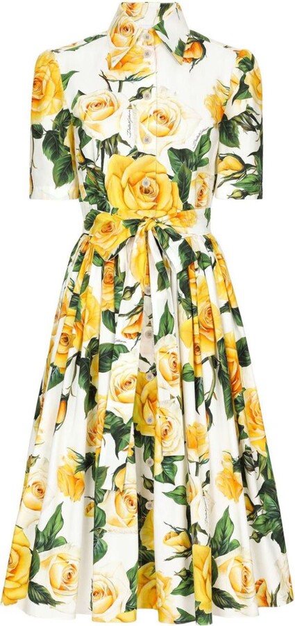 Dolce & Gabbana Rose print dress - ShopStyle