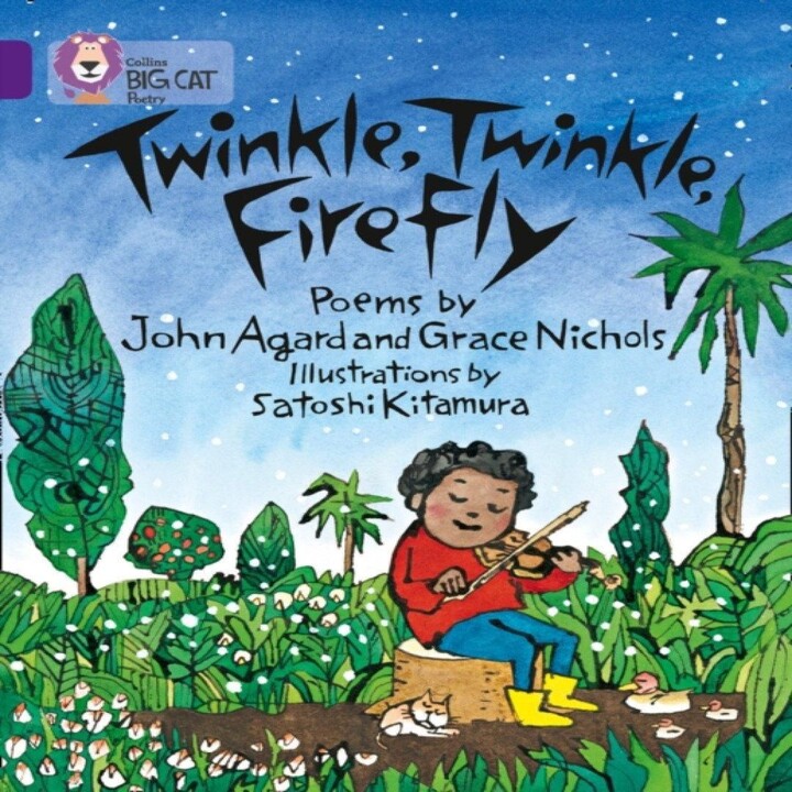 Satoshi Kitamura Twinkle, Twinkle, Firefly Book - ShopStyle