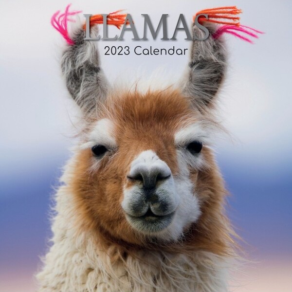 The Gifted Stationary 2023 Square Wall Calendar, Llamas, 16-Month ...