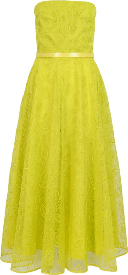 Studio Max Mara 'stecca' Bustier Dress In Organza - ShopStyle