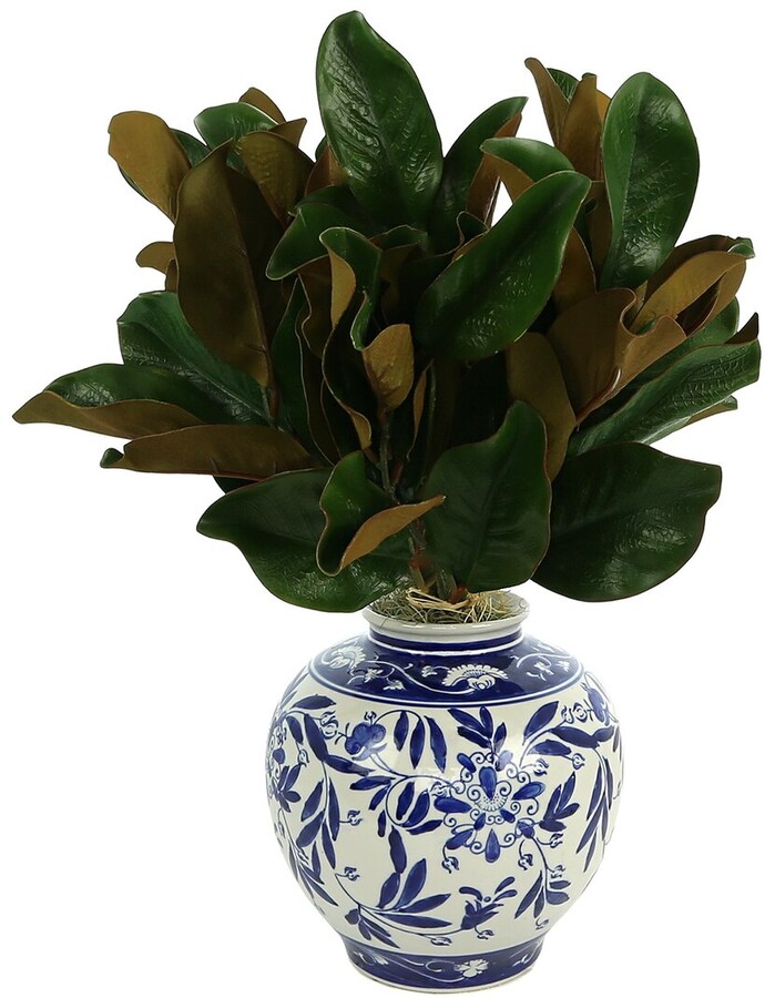 Creative Displays Green Magnolia Leaves In A Decorative Ceramic Vase ...