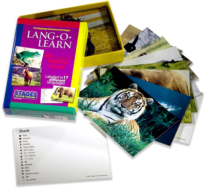 Stages Learning Materials Lang-o-Learn Esl Vocabulary Cards Flashcards ...