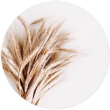 Villa Madelief 75cm and White Grain Wall Sticker - ShopStyle Artwork