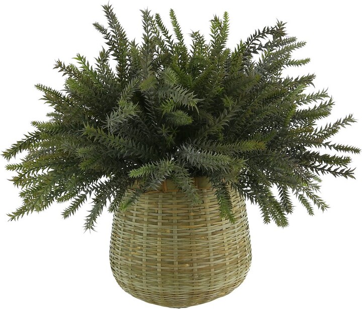 Creative Displays Frosted Gray Fern Arrangement In A Bamboo Wicker ...