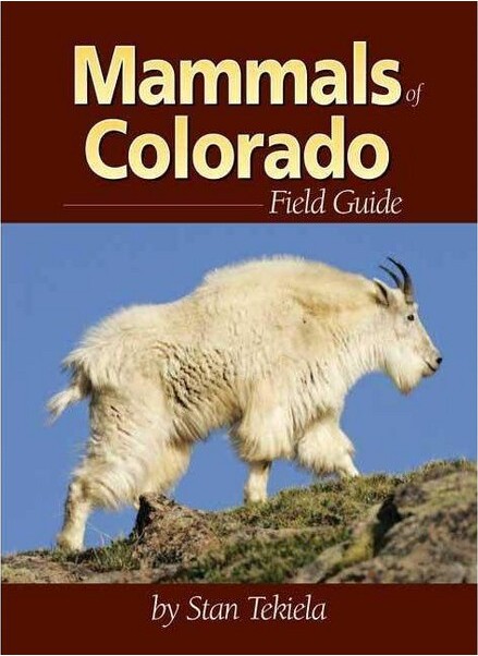 Adventure Publications Mammals of Colorado Field Guide - (Mammal ...