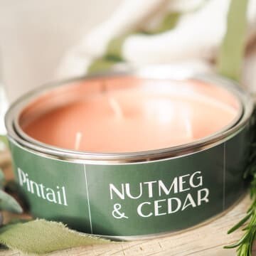 Pintail Candles Triple Wick Nutmeg And Cedar Candle - ShopStyle