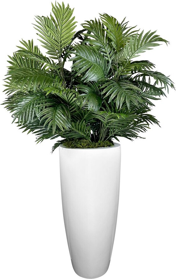Creative Displays Green Areca Palm Bush In Fiberstone Planter ...