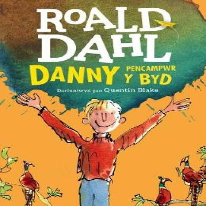 Roald Dahl Danny Pencampwr y Byd Book - ShopStyle